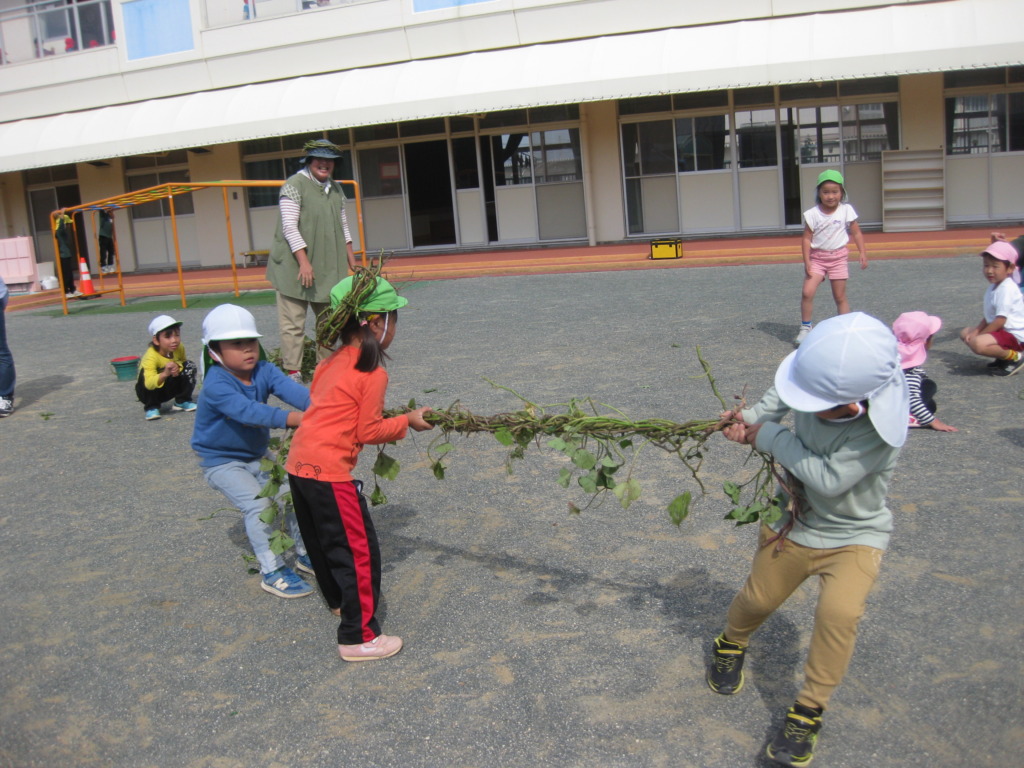 お芋、み～つけた！ | 認定こども園 老津保育園